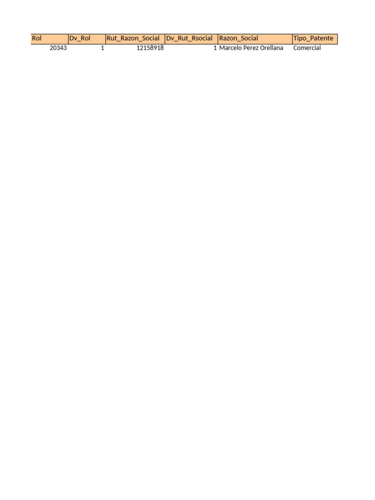 Planilla de Carga Patentes Municipales 2021 | PDF