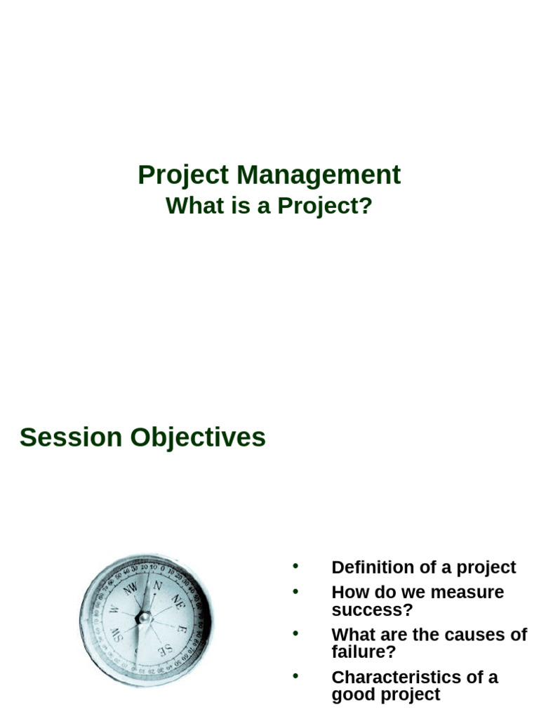 PM01-02 - What Is A Project | PDF