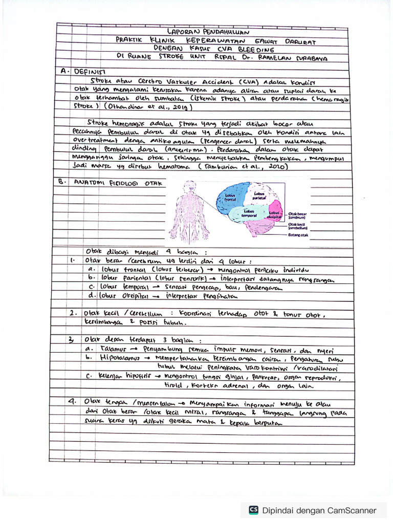 lp bela cva bleeding | PDF