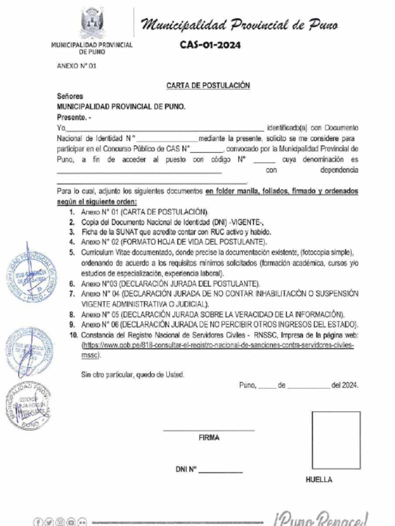 ANEXOS PROCESO CAS N 001 2024-Comprimido | PDF