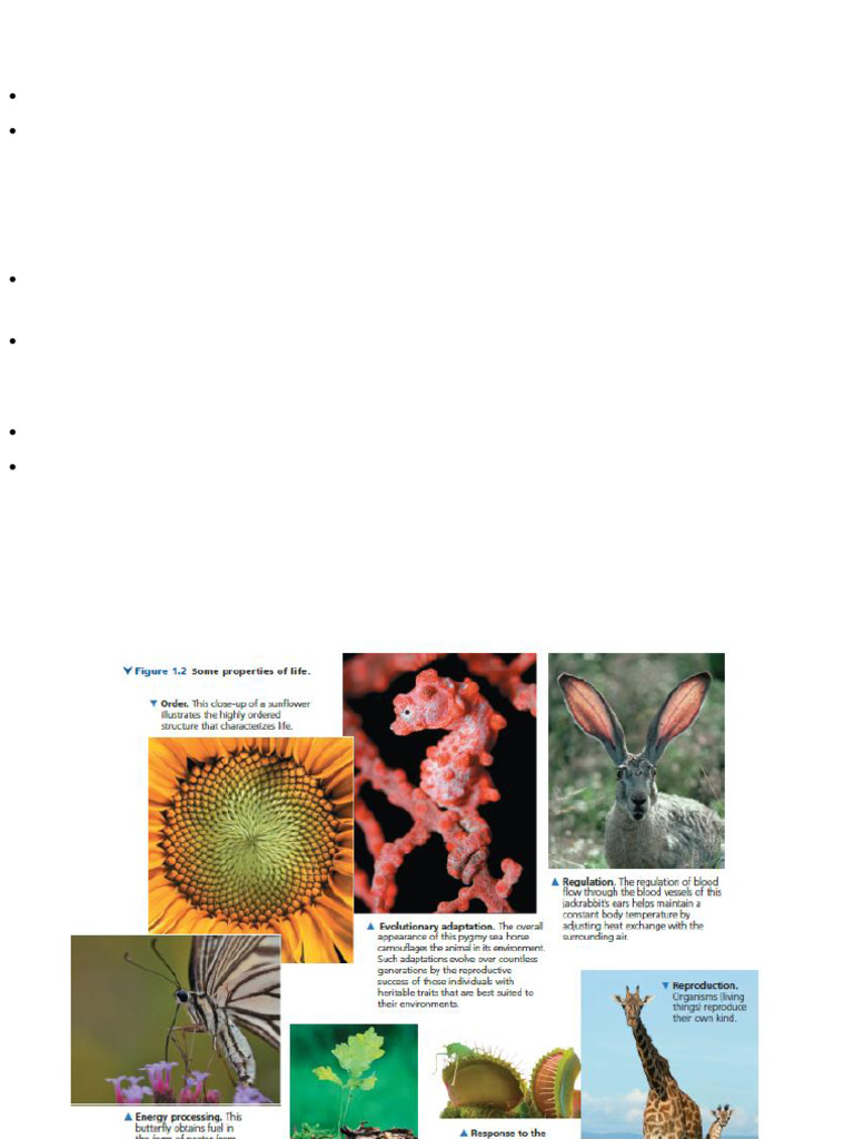 Introductory Biology 4-1 | PDF