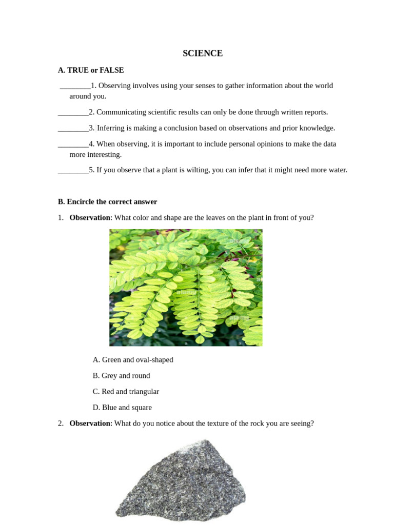Science 3 | PDF