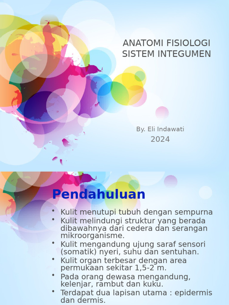 Anfis Integumen - Aj SMT 3 - 2024 | PDF