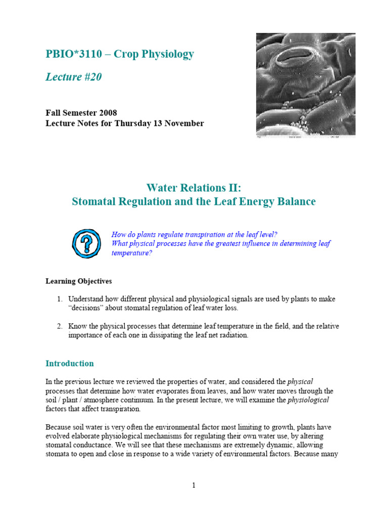 Stomatal Regulation and The Leaf Energy Balance | PDF
