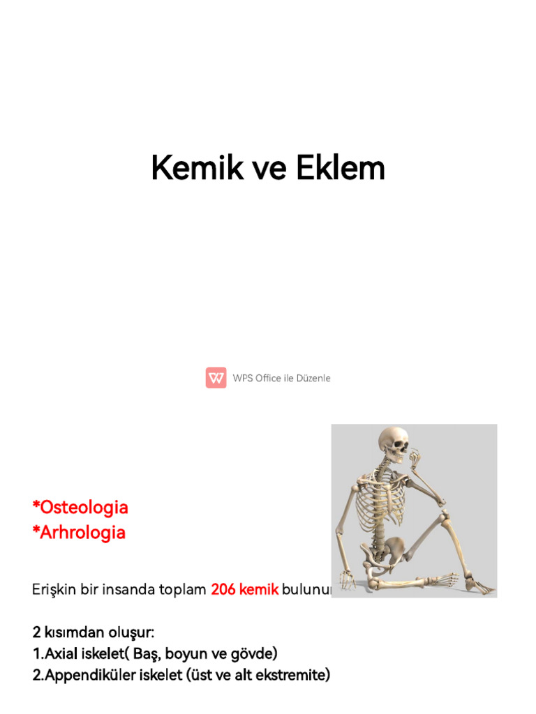 Kemik Ve Eklem | PDF