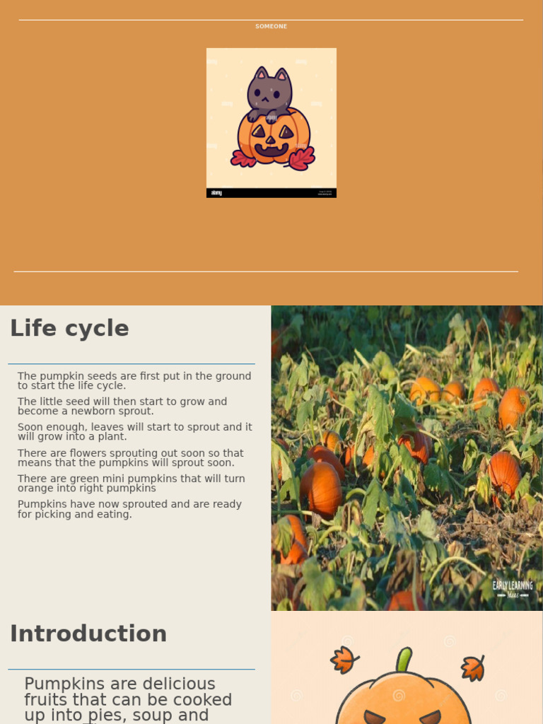 Pumpkin | PDF