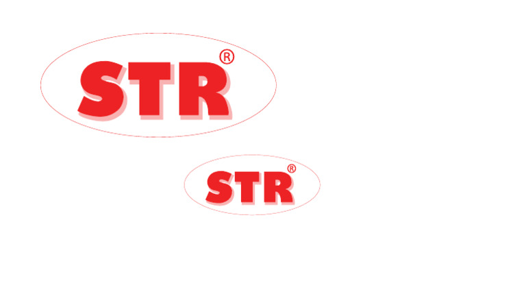 Logo STR | PDF