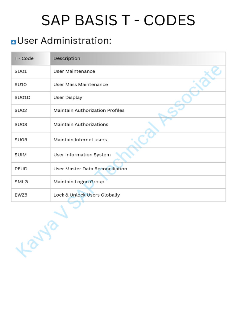 SAP Basis T-Codes | PDF