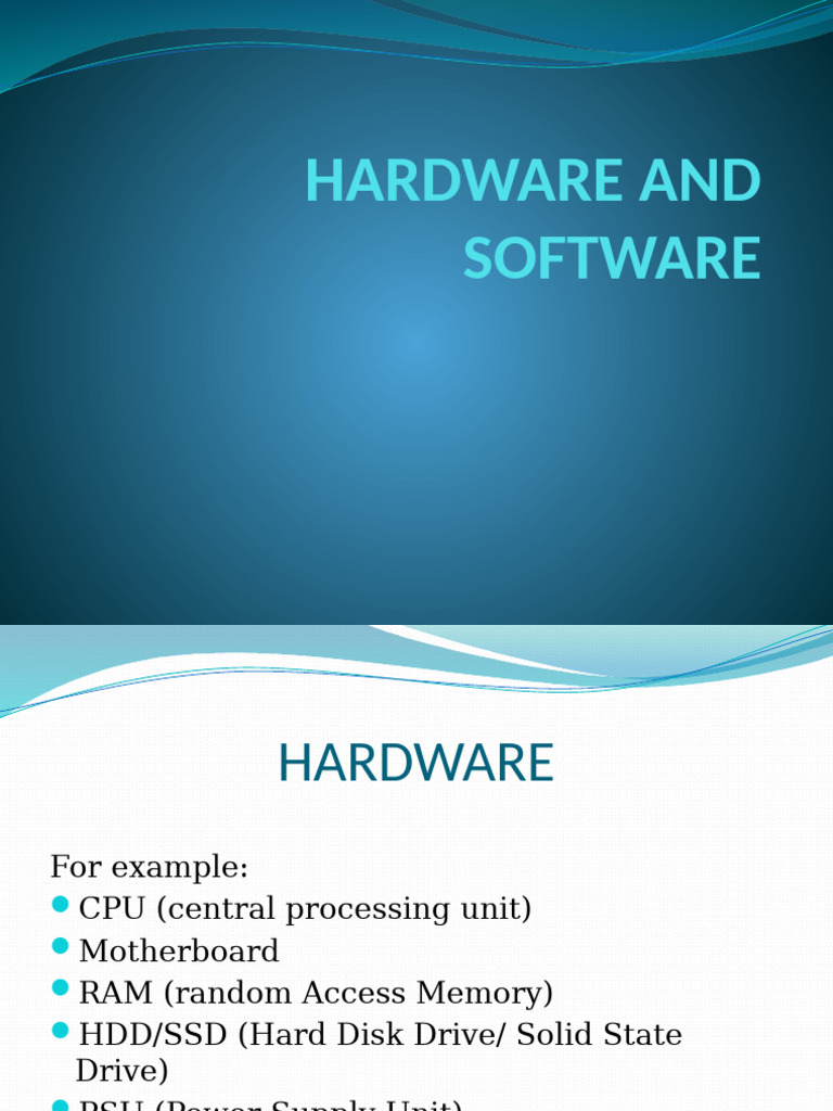 Hardware and Software | PDF