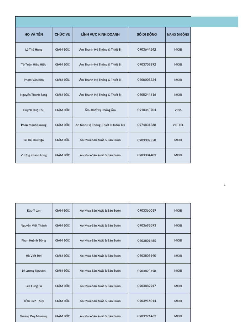 Giam Doc Cty San Xuat VN (BS) | PDF