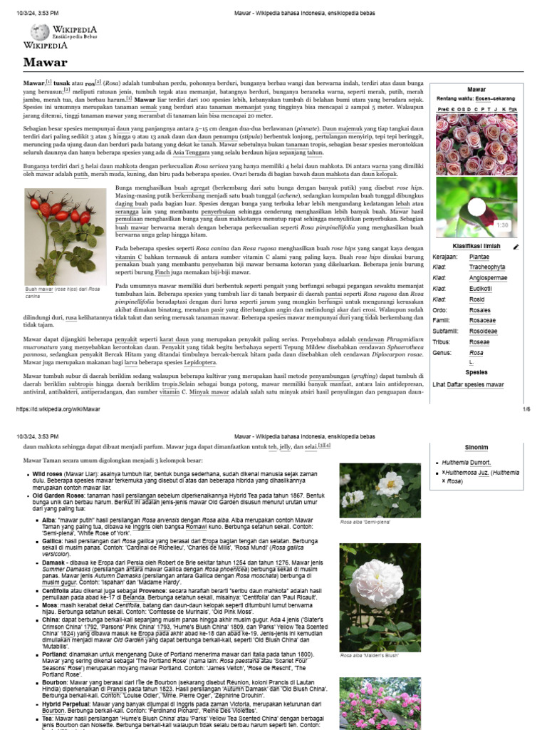 Mawar | PDF