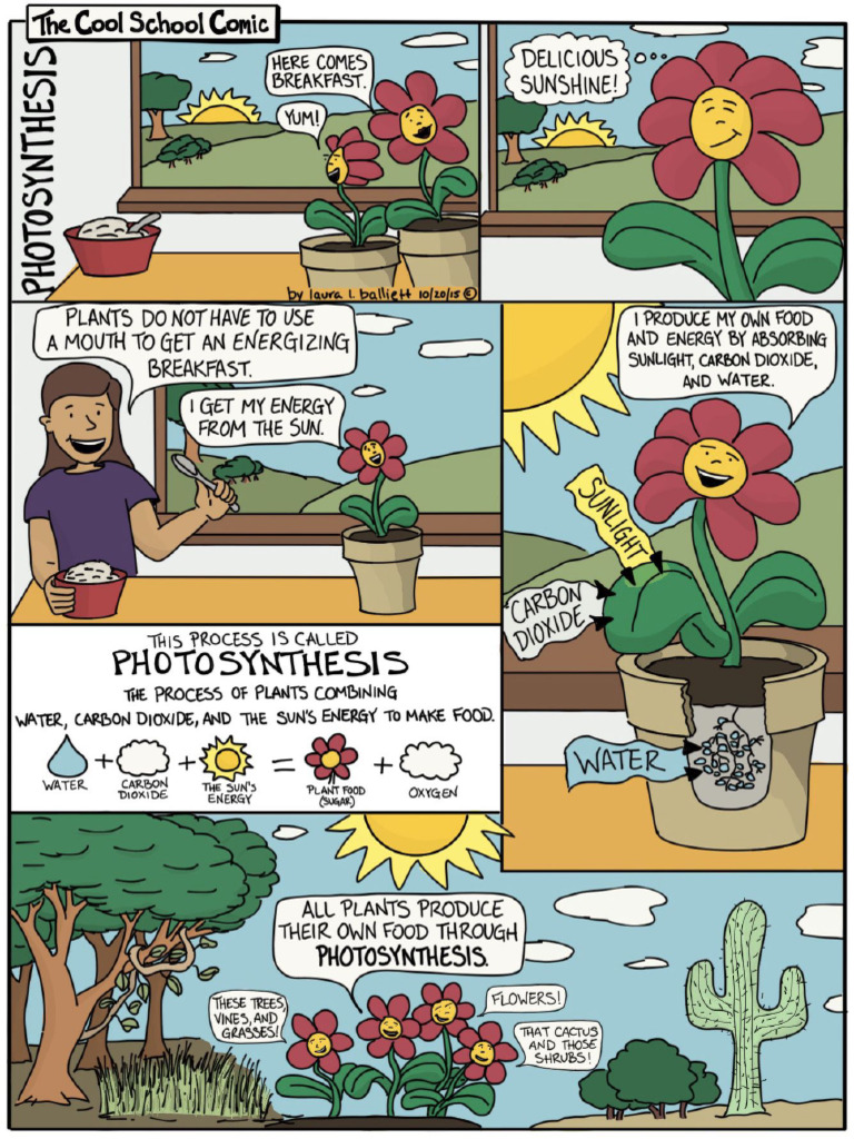 Photosynthesis Guided Notes Pack Smvooq | PDF