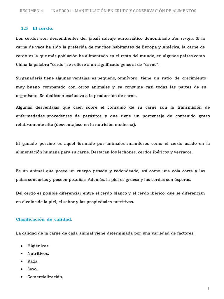Resumen 4 | PDF