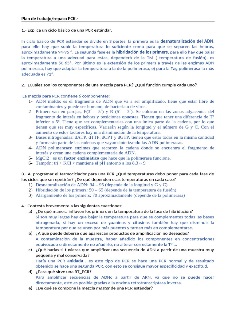 Plan Trabajo T3-PCR (1) | PDF