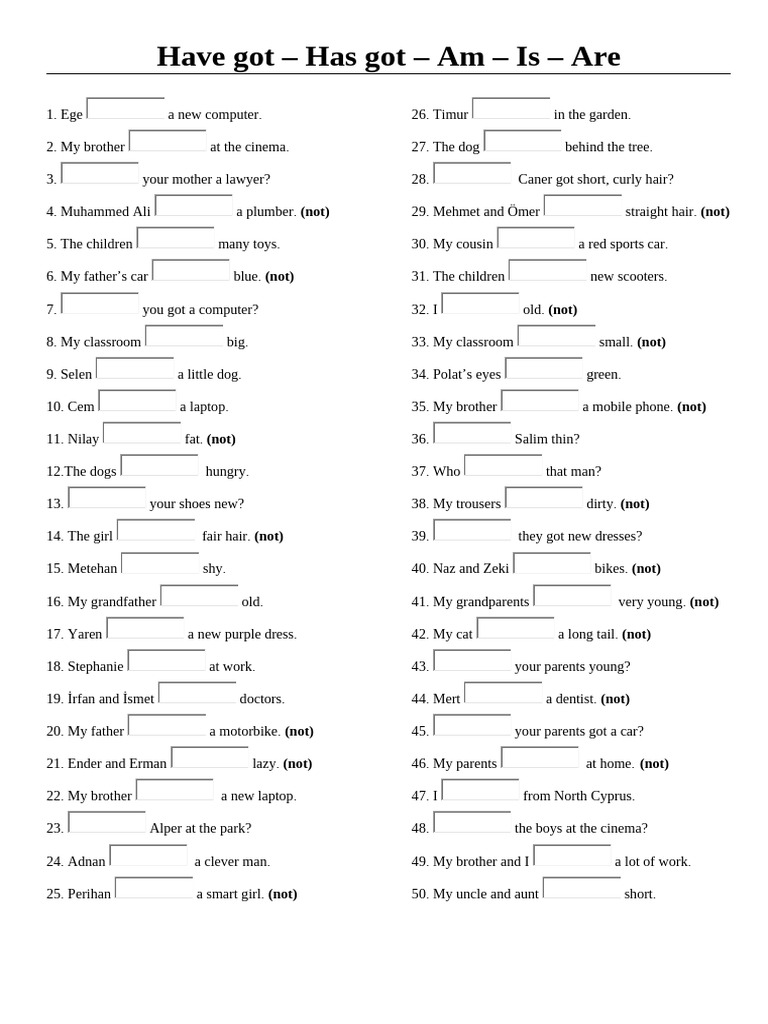 Am Is Are Have Got Has Got Final43 | PDF