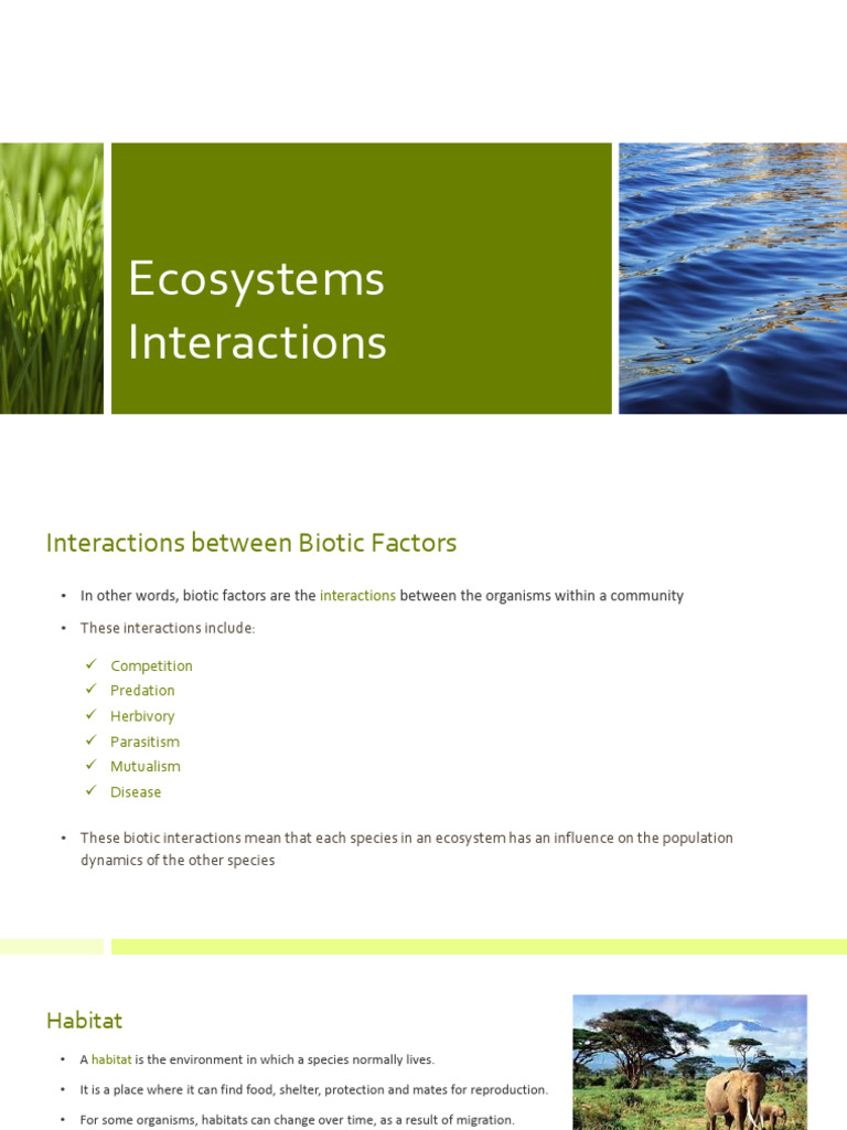 Ecosystem Interactions | PDF