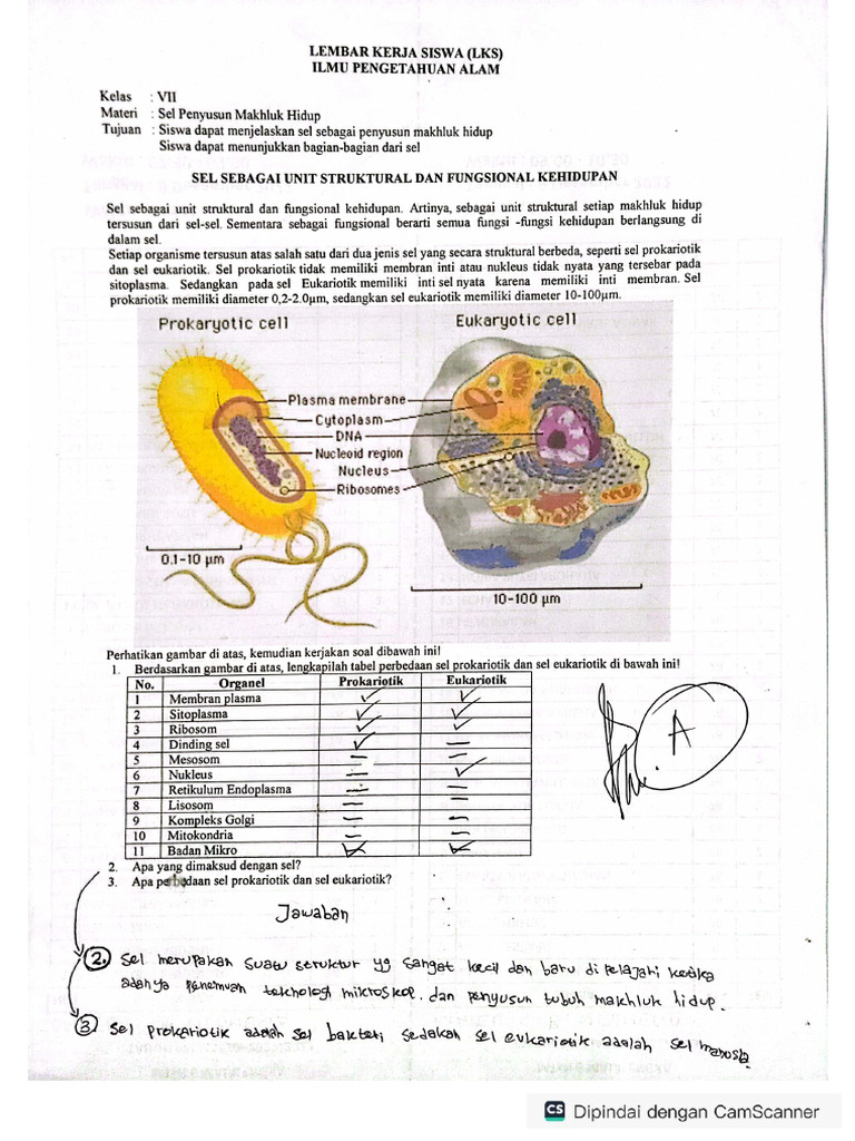 1.2. LK Yang Beragam Sesuai Kondisi Siswa | PDF
