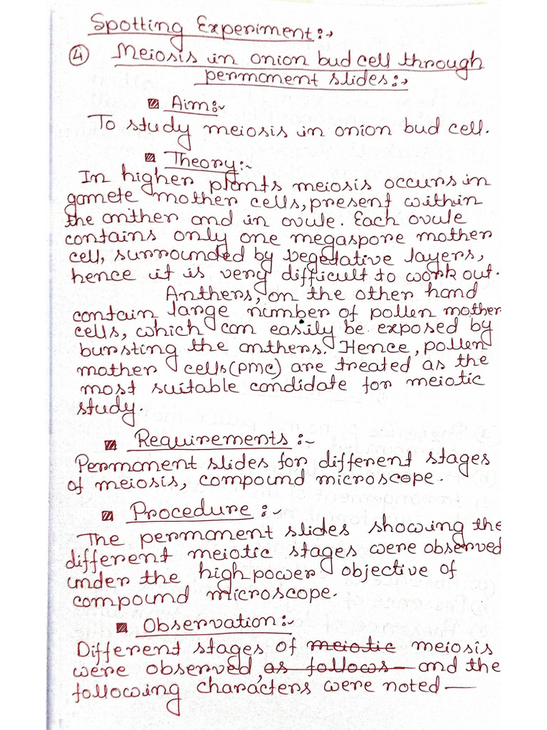 Spotting Exp. 4 - Study of Mitosis From Onion Bud | PDF