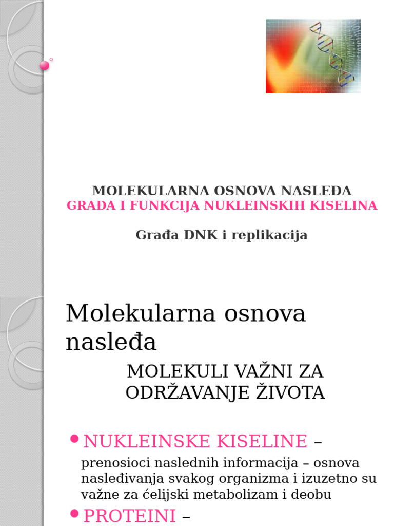 Gradja DNK I Replikacija | PDF