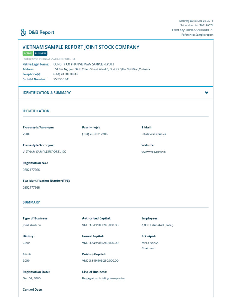 (Sample) Credit Report - Vietnam | PDF