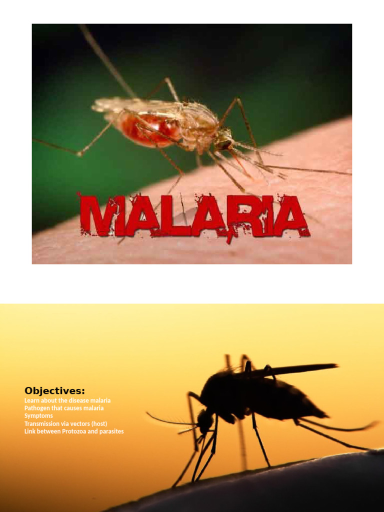 Malaria | PDF