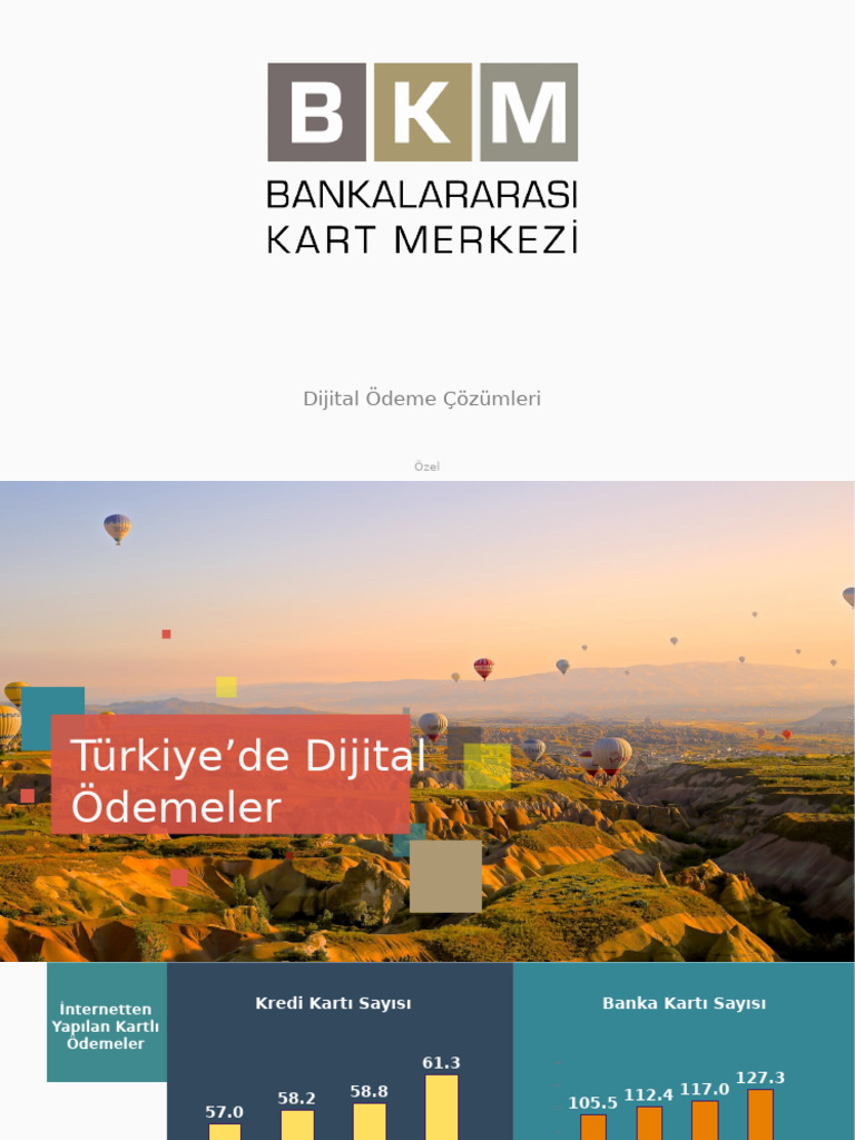 BKM Dijital Amerikadaniste | PDF