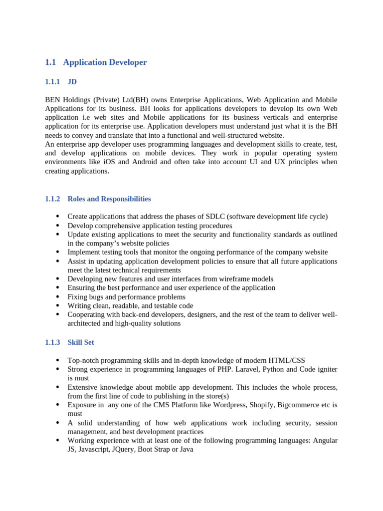 Job Brief - Application Developer BH V1.0 | PDF