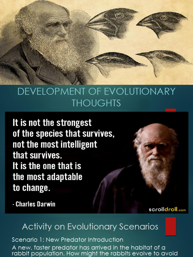 Evolution Part 1 | PDF