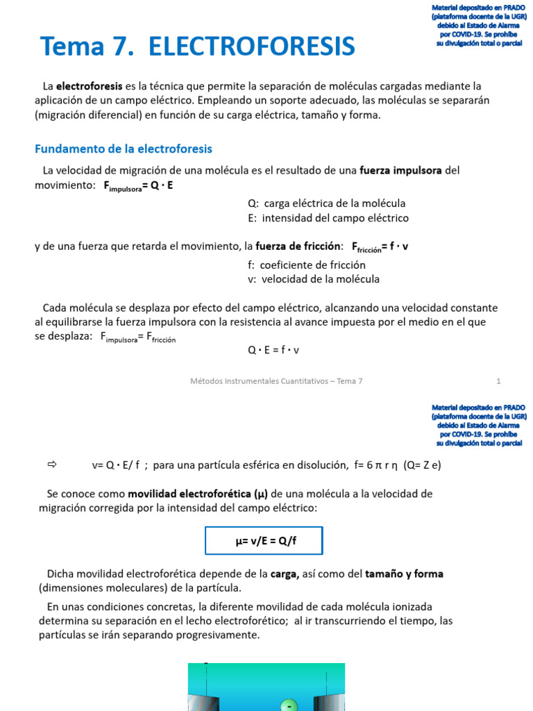 Tema 7. Electroforesis | PDF