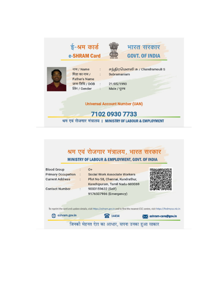 E-Shram Card | PDF