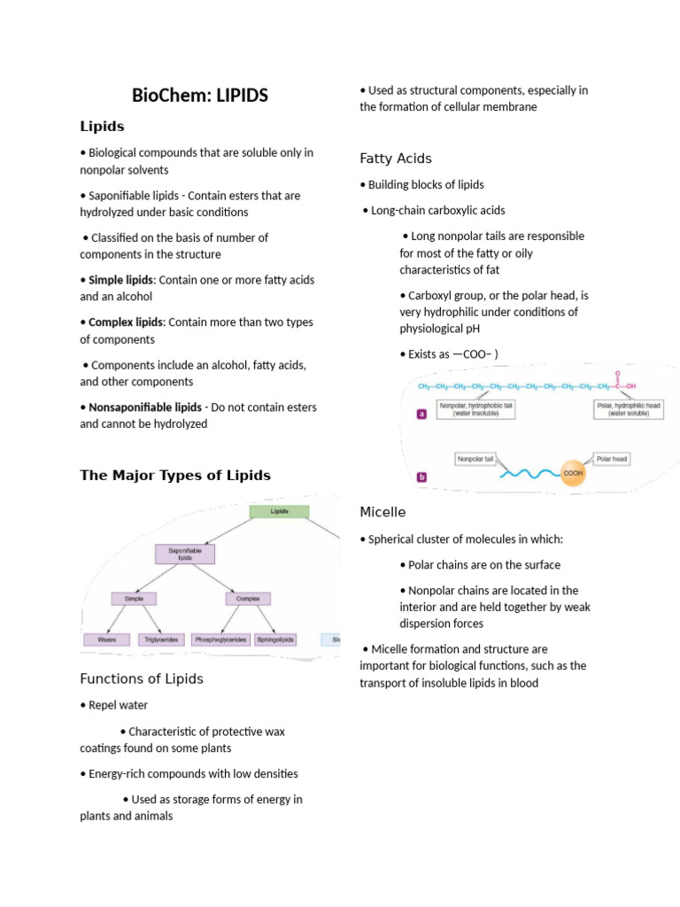 Biochem 1 Pdf