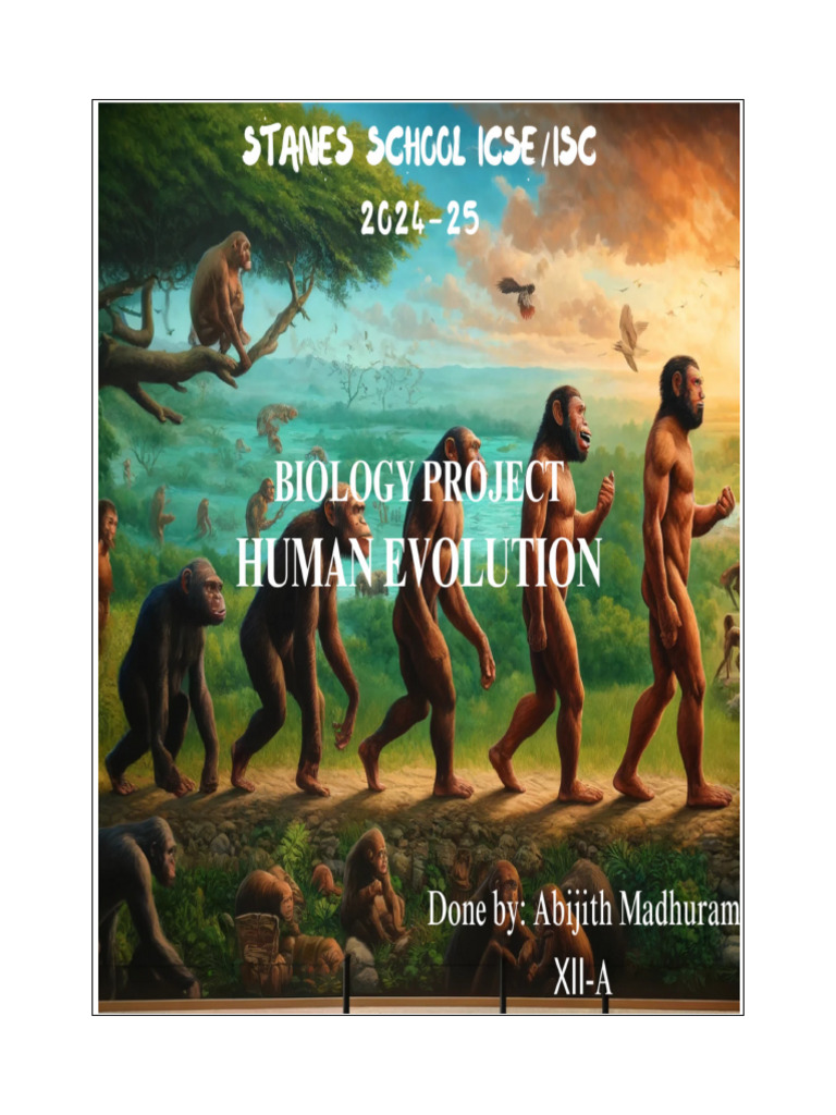 Class 12 Isc Bio Proj On Human Evolution | PDF