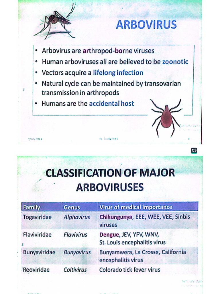 Arbovirus PDF | PDF
