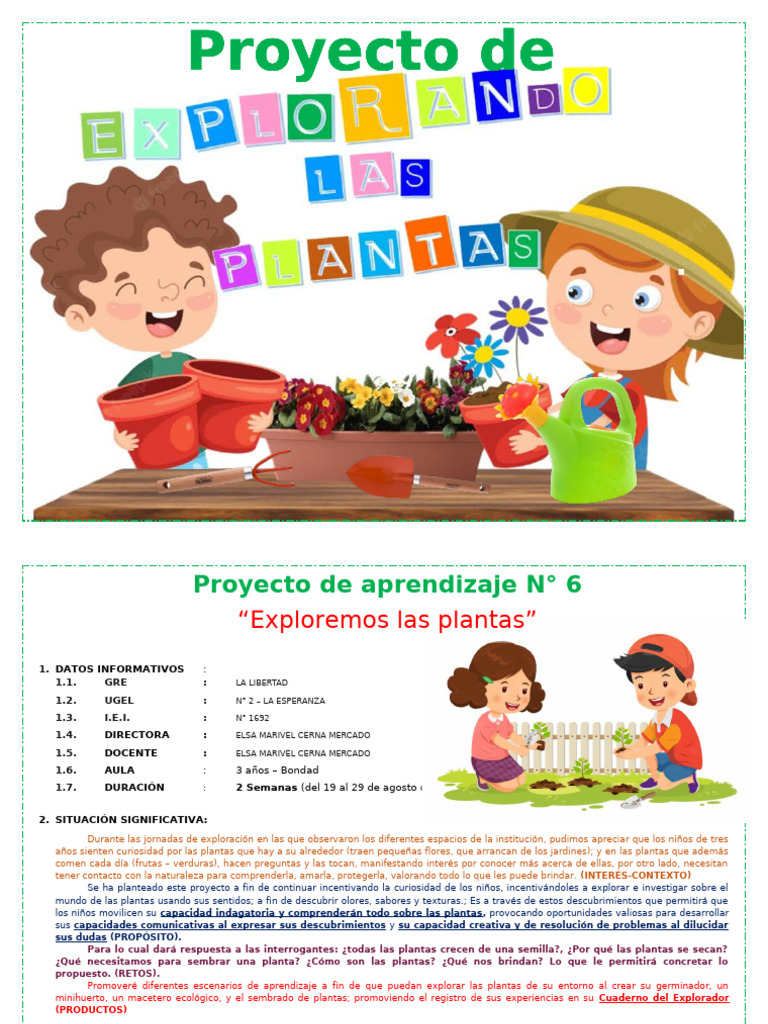 PA6-2024-Explorando las plantas | PDF