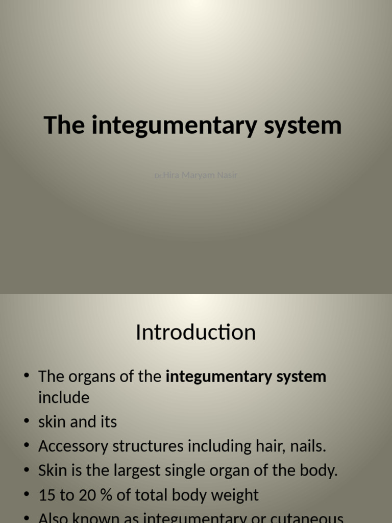 The Integumentary System | PDF