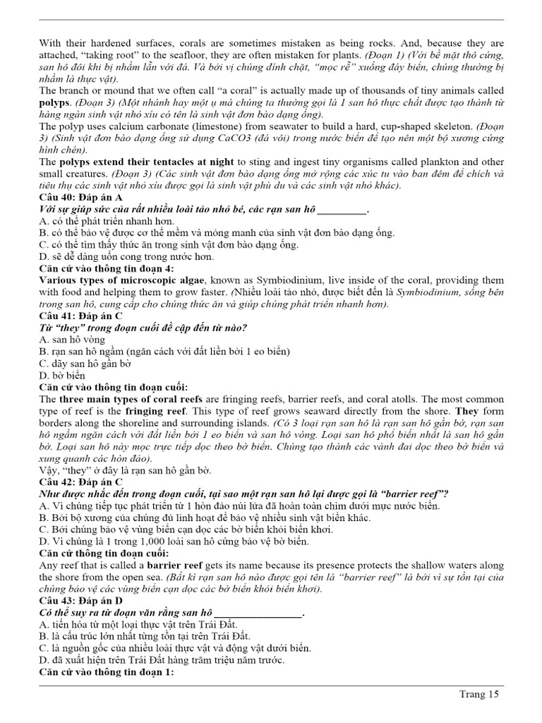 ĐỀ THI THỬ THPTQG - CHUẨN CẤU TRÚC 2020 (ĐỀ 13) 15 | PDF