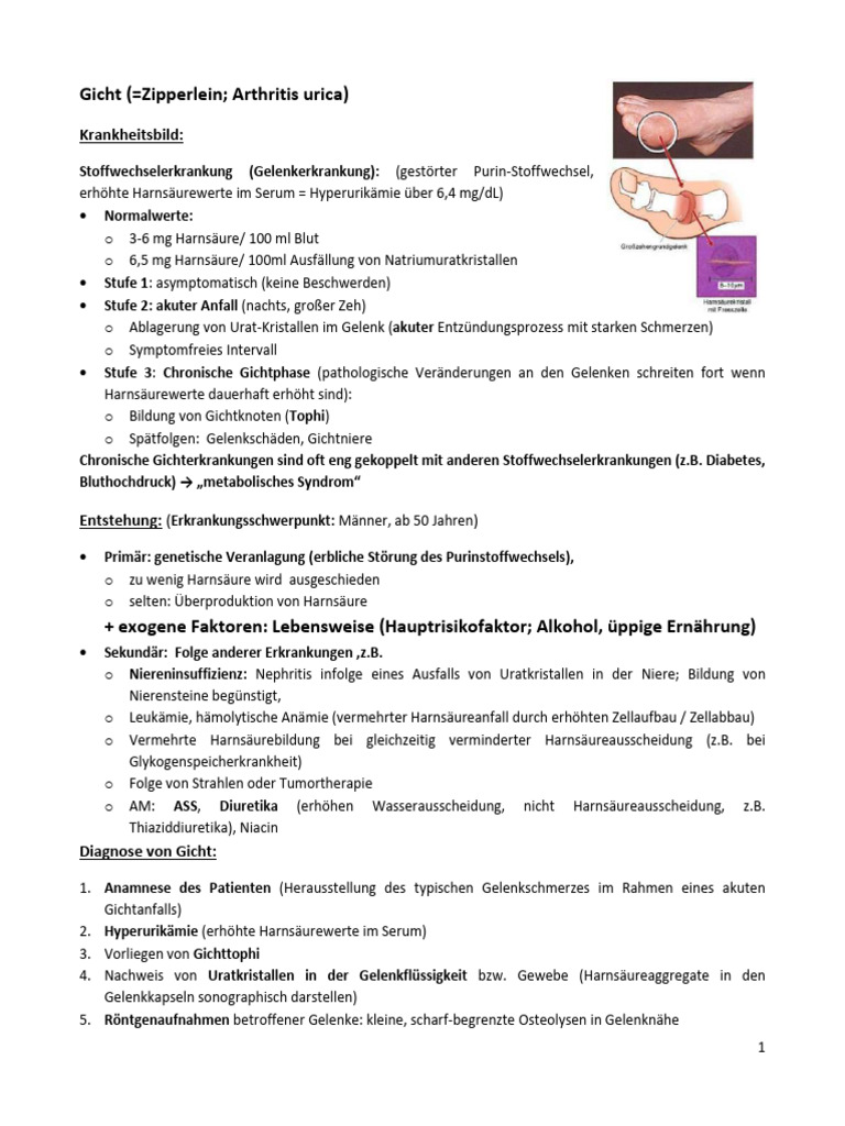 Gicht | PDF
