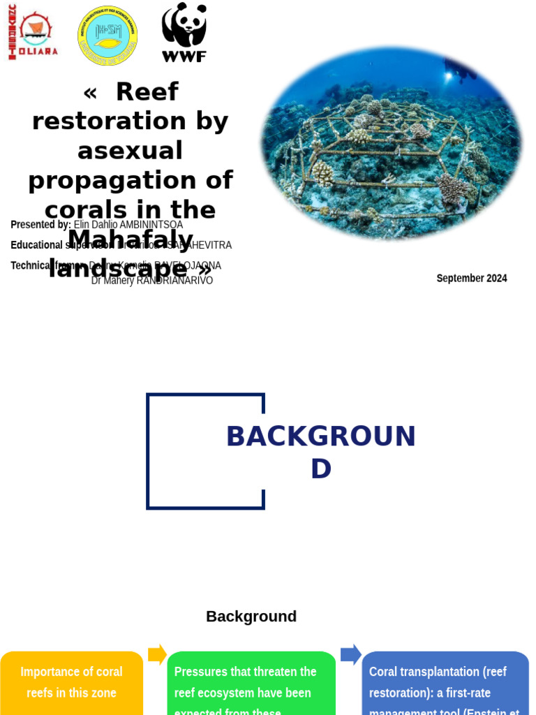 Presentation.english | PDF