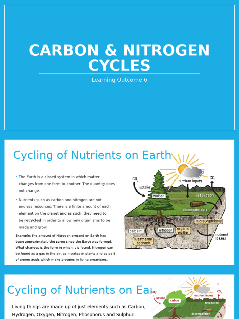 Unit 4 - Cycles and Biodiversity | PDF