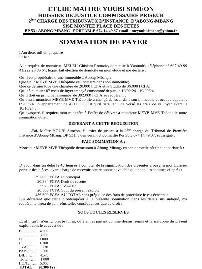 Sommation de Payer MR Meleu Ghislain | PDF