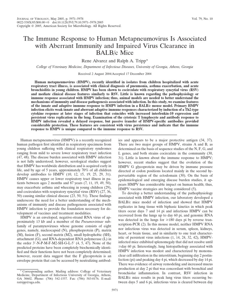 Alvarez Tripp 2005 The Immune Response To Human Metapneumovirus Is Associated With Aberrant ...