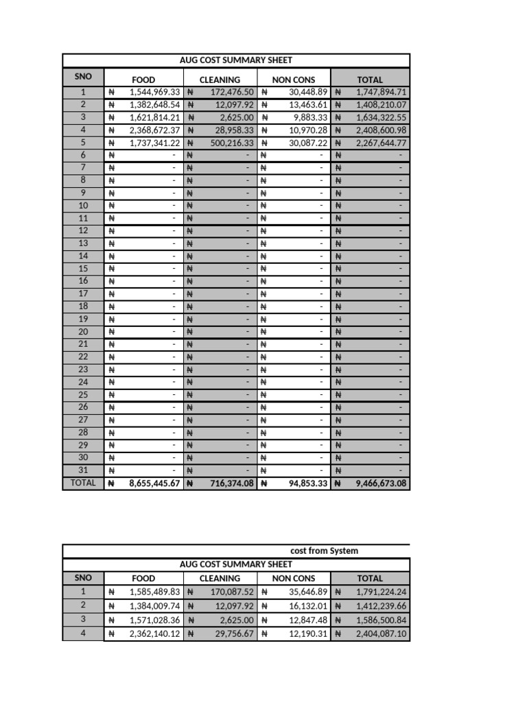 Daily Issue Sheet Aug 2024 | PDF