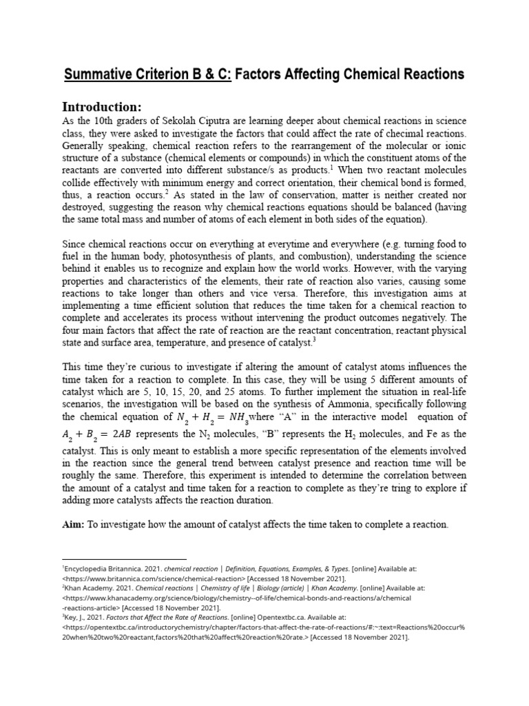 Summative Criterion B and C Example 1 | PDF