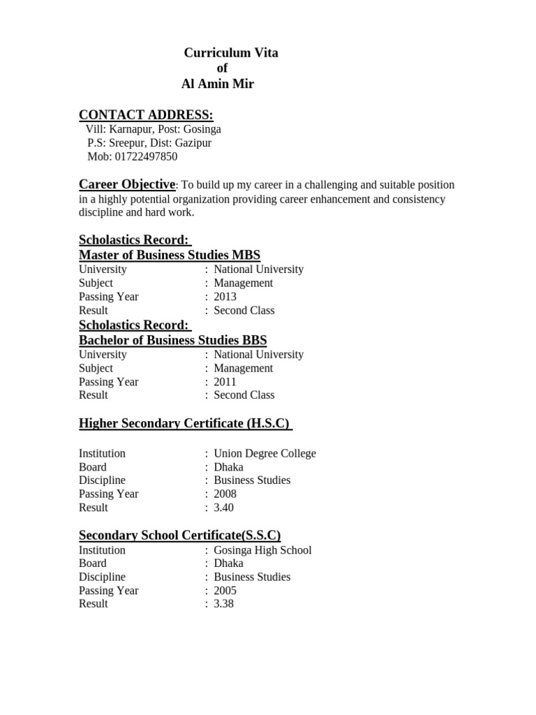 CV_Al Amin | PDF