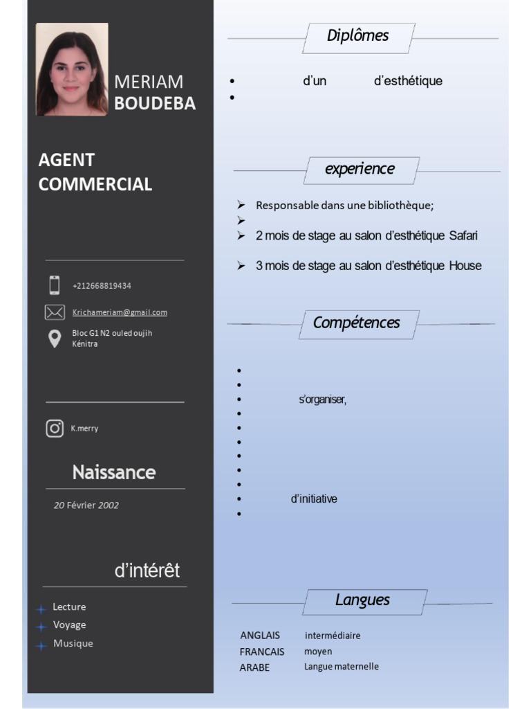 HIBA CV Converti Converti | PDF