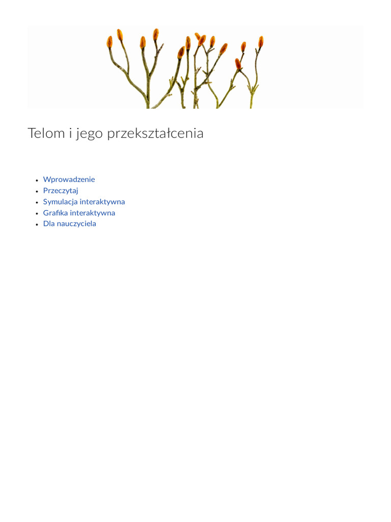 Telom I Jego Przeksztalcenia | PDF