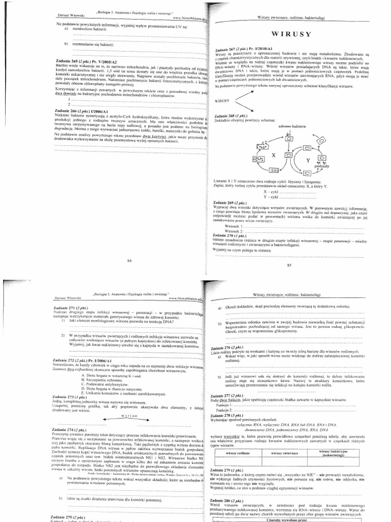 Witowski D, Witowski J - Wirusy | PDF