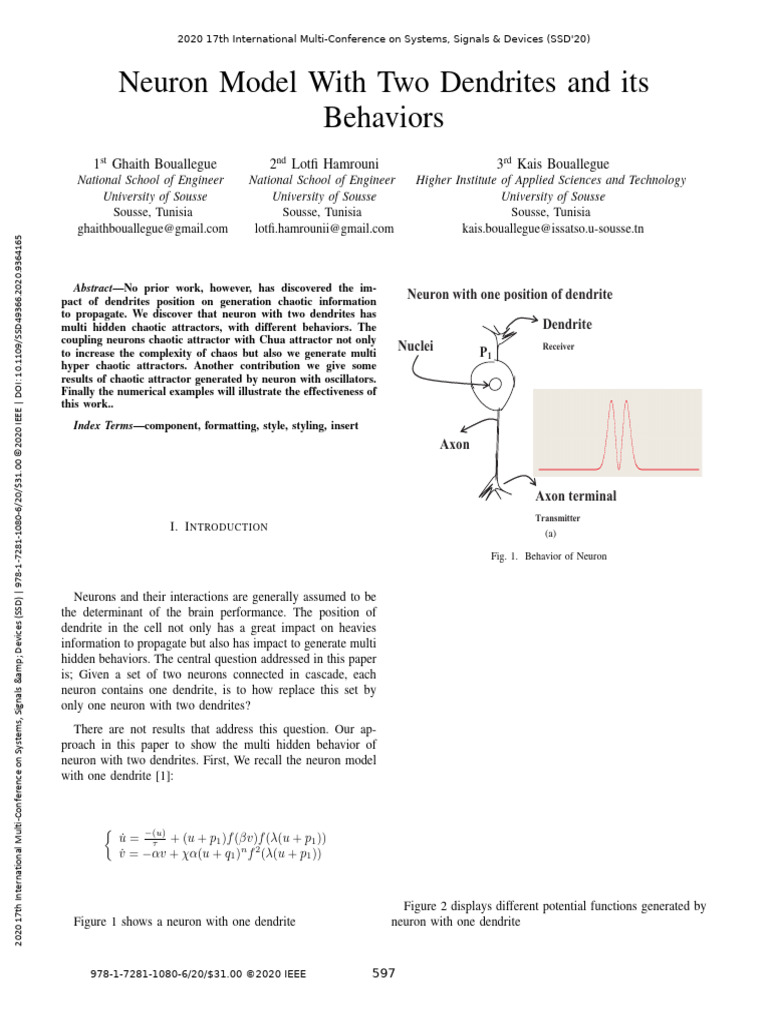 Neuron Model With Two Dendrites and Its Behaviors | PDF