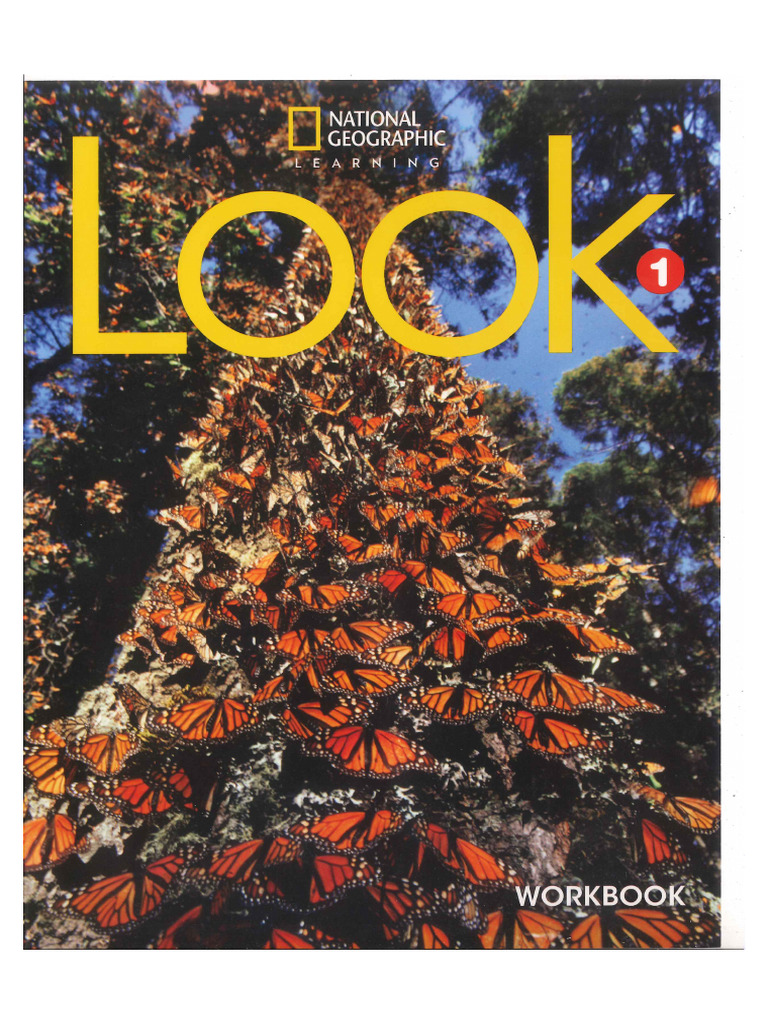Look 1 - Workbook - Lesson 1 | PDF