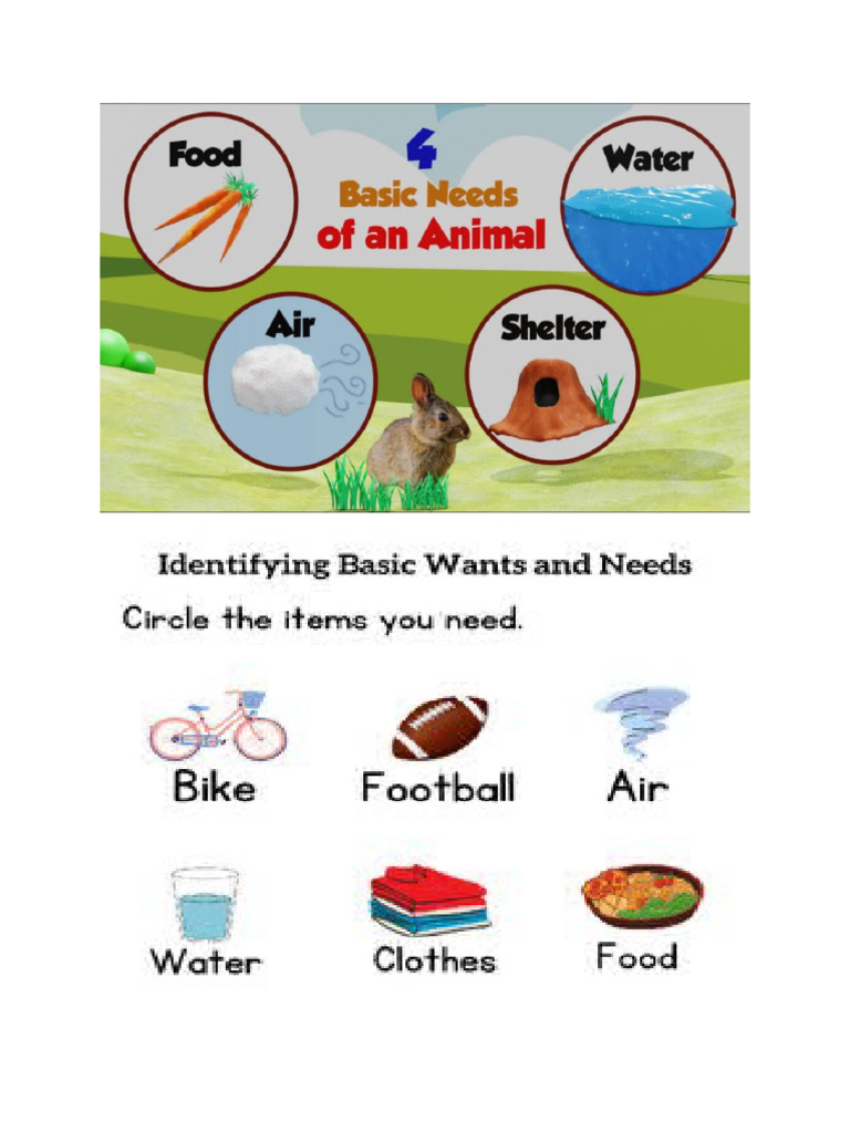 Basic Need of Animals | PDF
